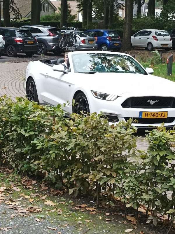 Gala Auto huren? Huur de Perfecte Gala Auto | Vanaf €349,-